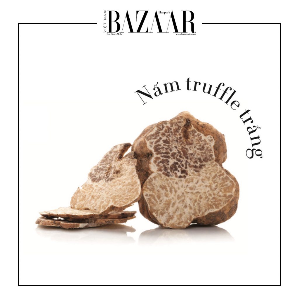 Nấm Truffle là gì và vì sao món ăn này đắt hơn vàng? | Harper's Bazaar