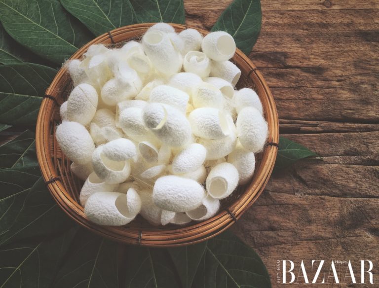 Sericin: Dưỡng chất chống lão hóa quý từ kén tằm Việt | Harper's Bazaar