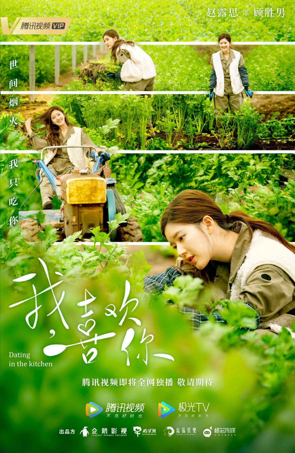 26 phim làm nên tên tuổi của Triệu Lộ Tư từ 2024 – 2025