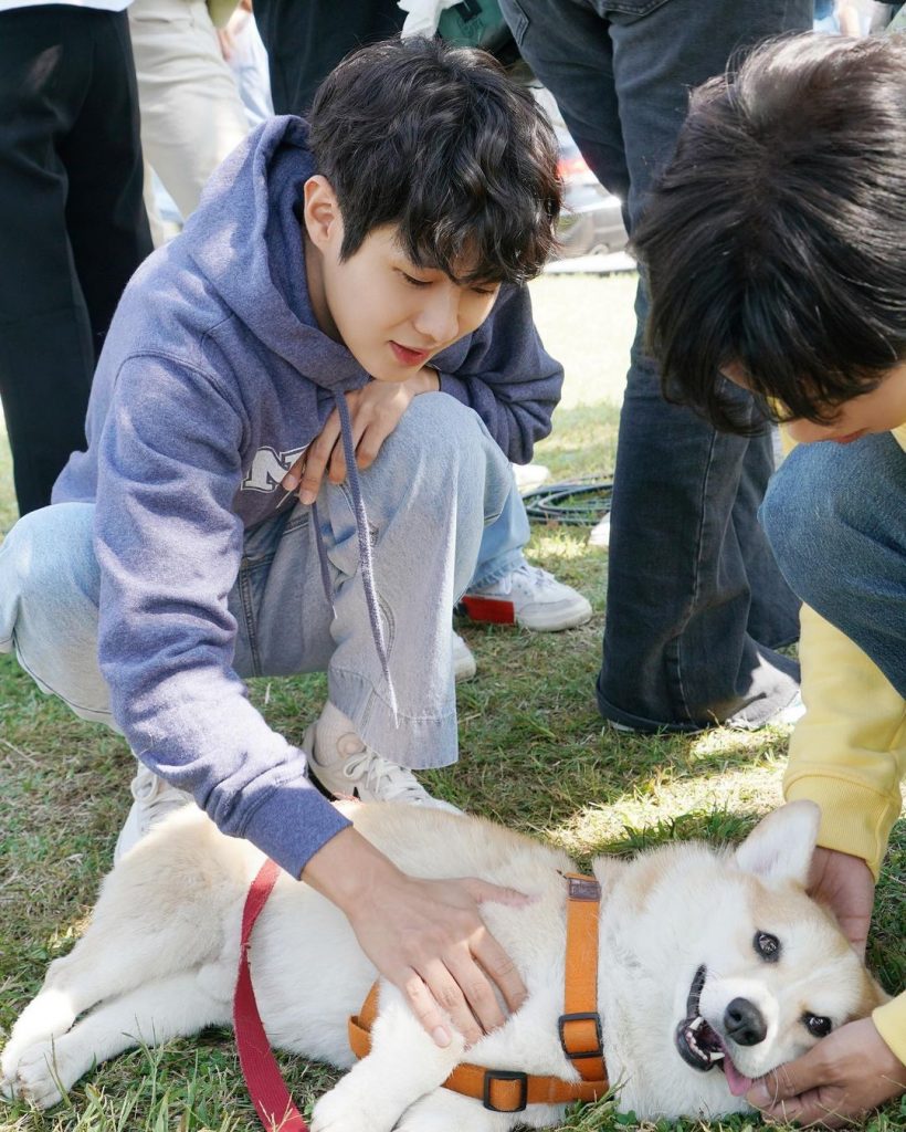 Phim Choi Woo Shik: 11 phim ấn tượng nhất của nam diễn viên