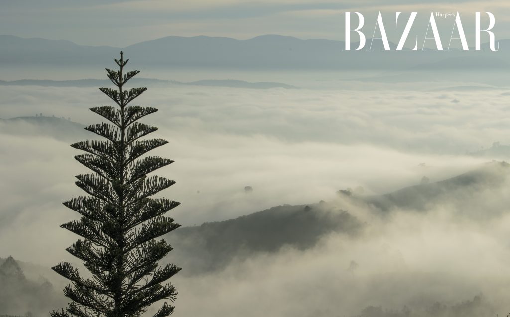 Kinh nghiệm săn mây ở chùa Linh Quy Pháp Ấn ở Bảo Lộc