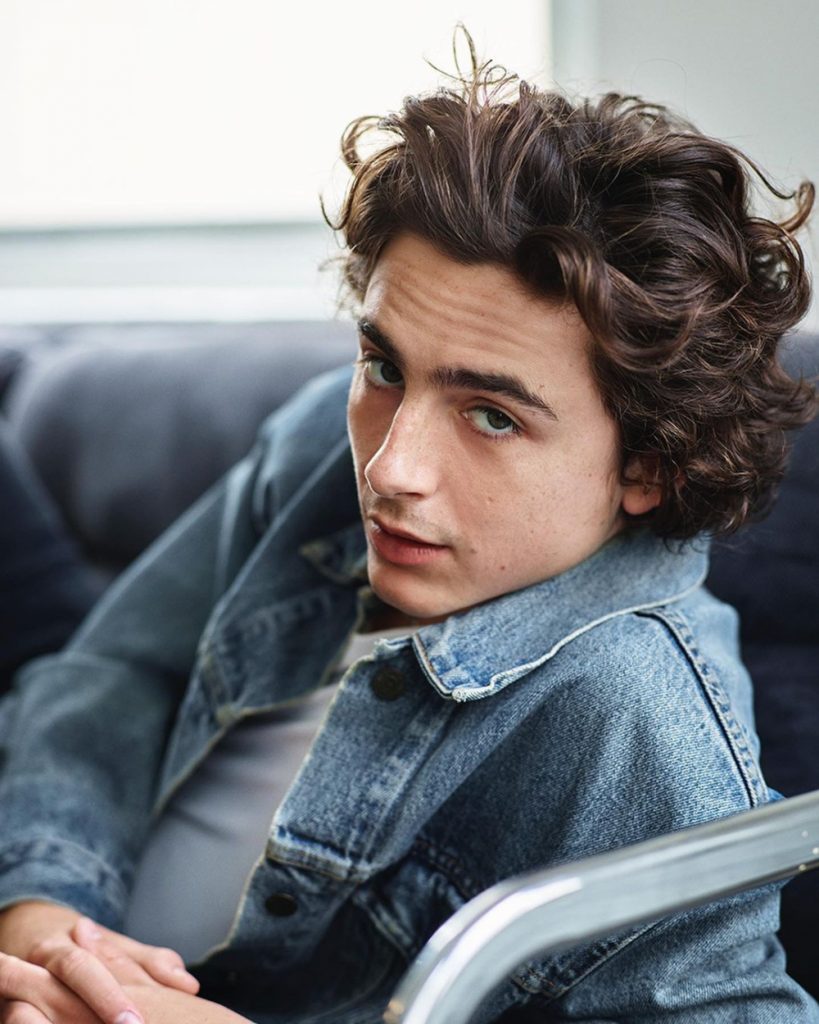 Top 10 phim mới nhất của “chàng thơ” Timothée Chalamet