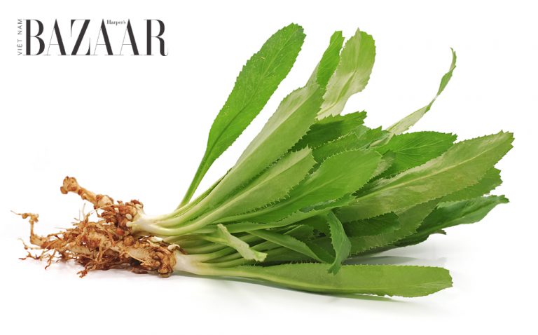 Rau mùi tàu kỵ với gì? 3 món kỵ và 5 đối tượng hạn chế ăn