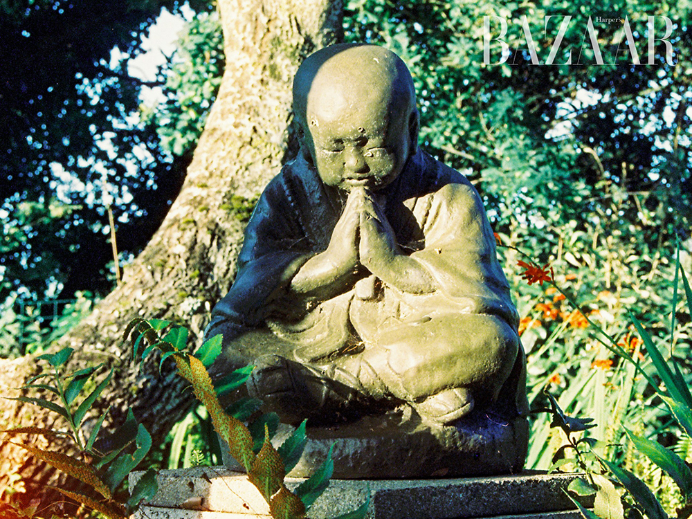 Well-being | The Fusion Transforming Our Minds and Bodies