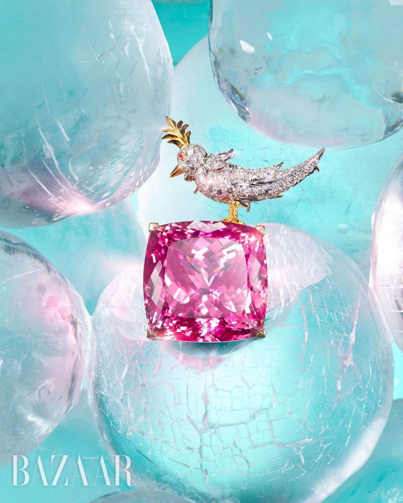 Tiffany & Co. tôn vinh Bird on a Rock với đá Kunzite 7.500 Carat ...