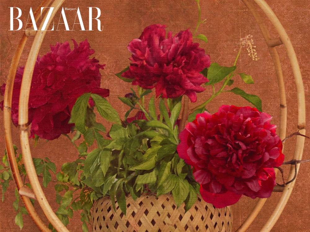 Đi đâu thưởng lãm mẫu đơn như phim Quốc Sắc Phương Hoa? | Harper's ...