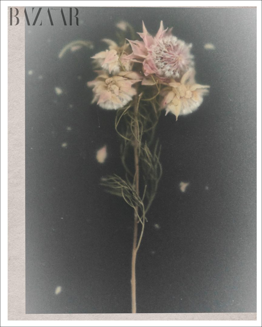 Người mẫu Darcy-Jackson trong bộ ảnh "Le Rubis" của nhiếp ảnh gia ...