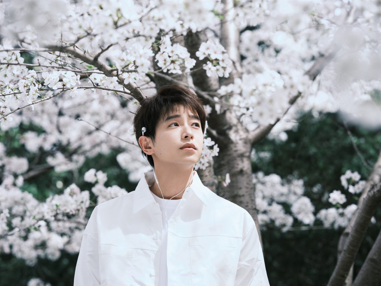 Top 8 phim của Bành Dục Sướng không thể bỏ lỡ | Harper's Bazaar Việt Nam