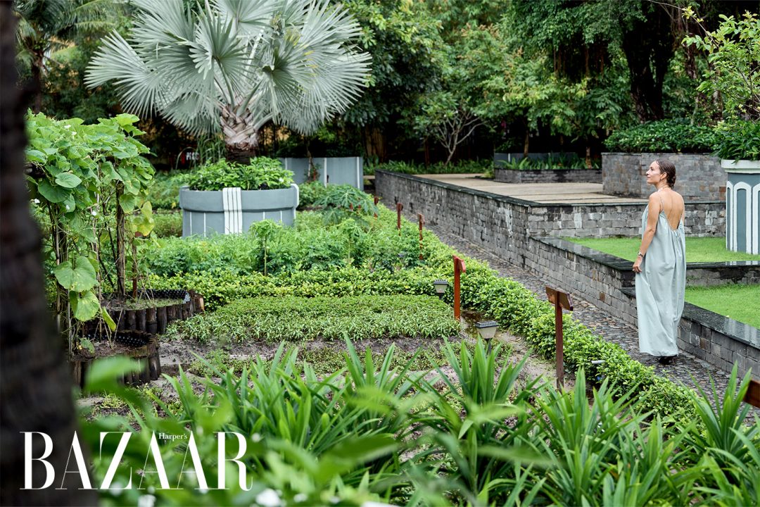 Đêm tiệc Summer Solstice” tại JW Marriott Phu Quoc | Harper's Bazaar ...