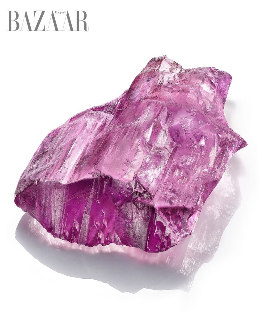 Tiffany & Co. tôn vinh Bird on a Rock với đá Kunzite 7.500 Carat ...