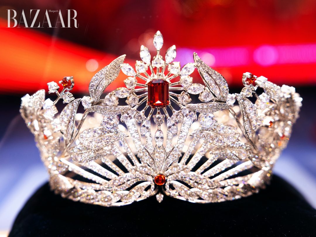 Miss Charm 2024 tiễn Mai Ngô nhập cuộc Miss Charm 2025 | Harper's ...